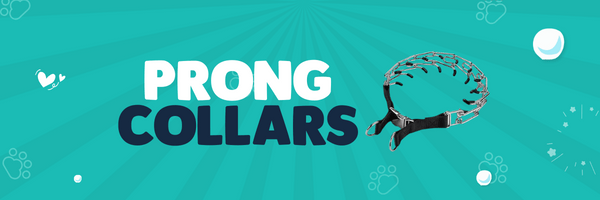 Prong Collars